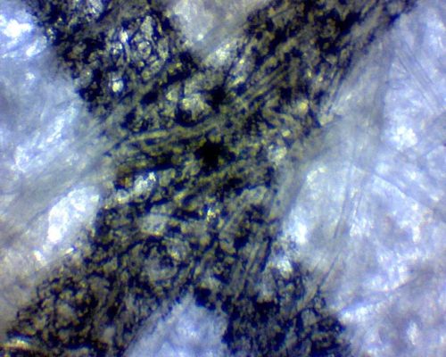 Children's Science Activity - Microscope Experiment - Workbooks and ...