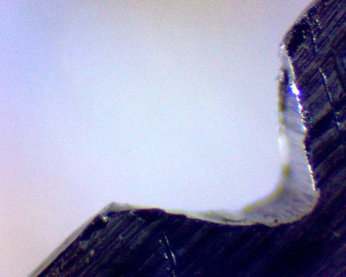 Children's Science Activity - Microscope Experiment - Workbooks and ...